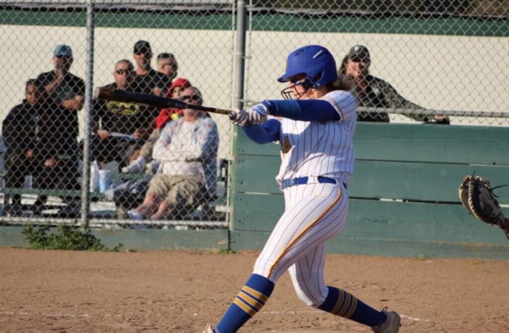 Softball Training: Hitting Expert Rob Crews Discusses Four Issues with ...