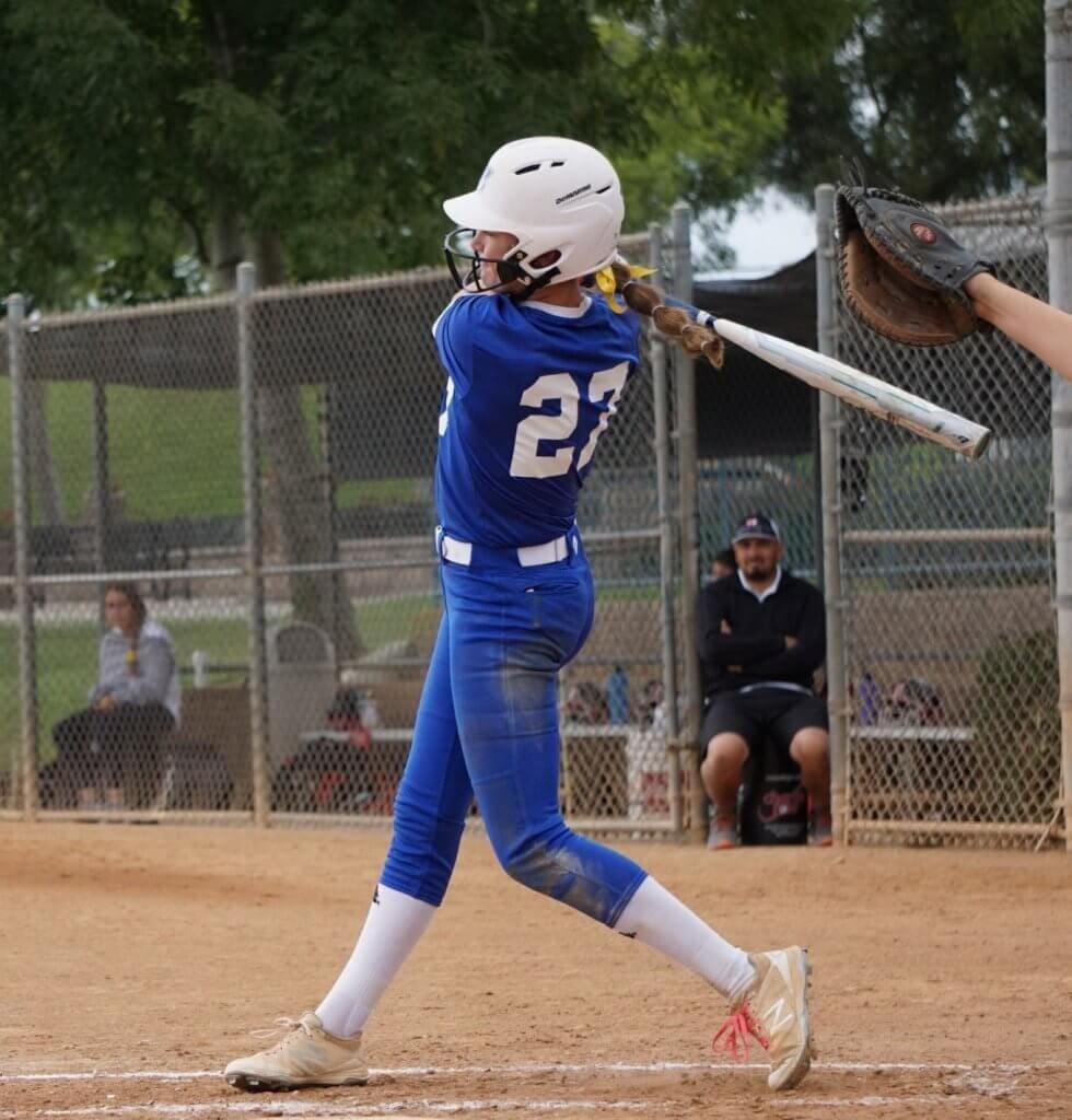 The Mental Edge: Performance Trainer & Former DI Softball Coach Julie ...